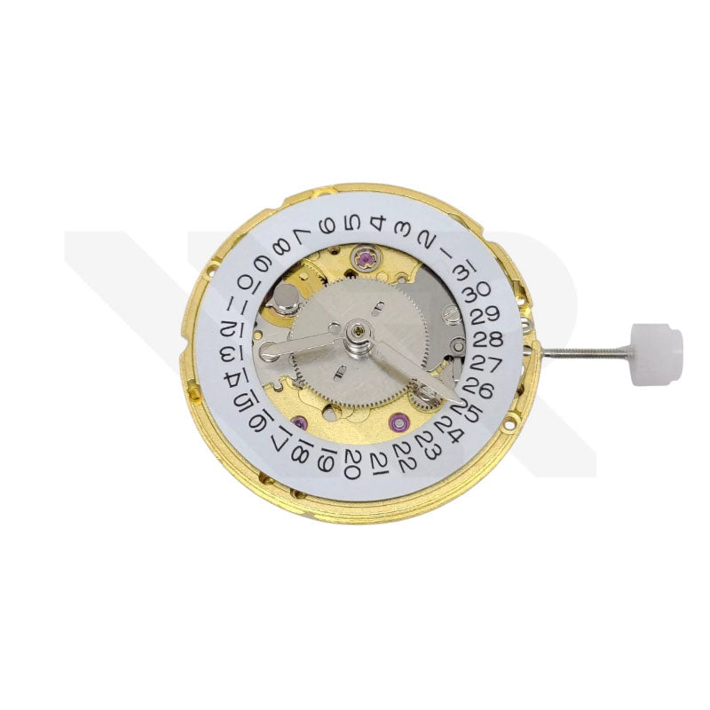 Hangzhou 6460 GMT Automatic Movement | WR Watches