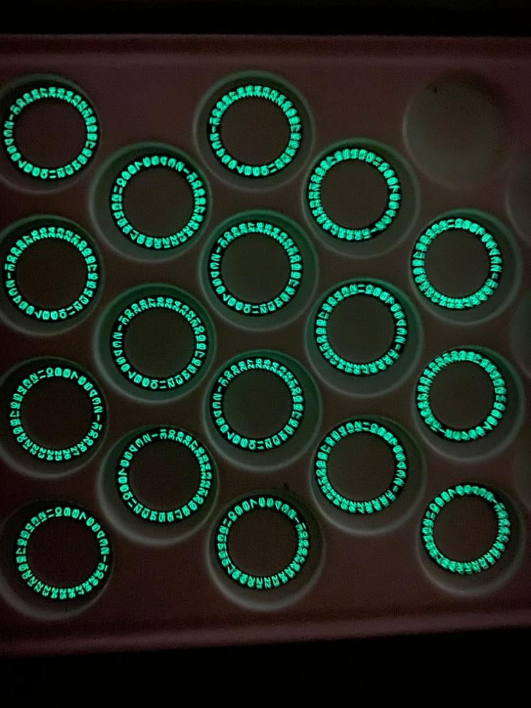 Luminous Day Date Disc | WR Watches